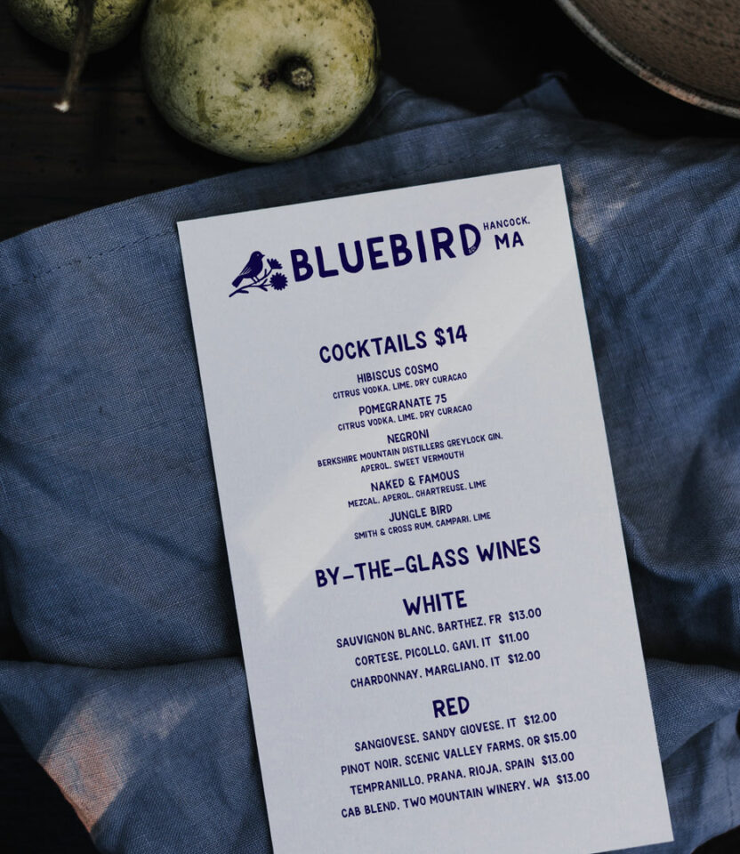 Logo Redesign: PlanetFab Revamps Bluebird & Co. Brand Identity | PlanetFab